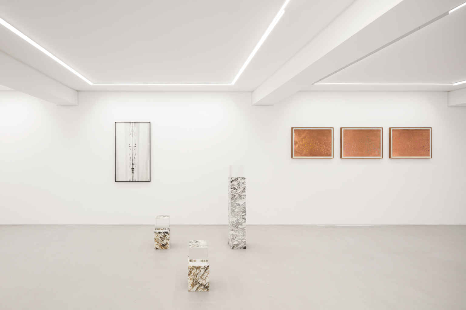 Galeria Foco – Sarah Valente